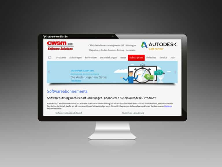 cwsm GmbH - cayou media